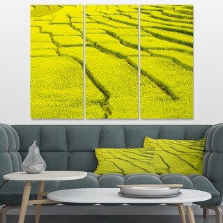 Designart "Rice Field View" Landscape Photography Canvas Art Print ...