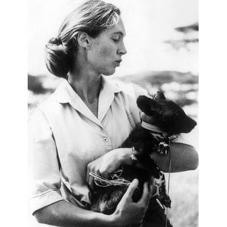 Jane Goodall Ca 1970S Courtesy Csu ArchivesEverett Collection History ...