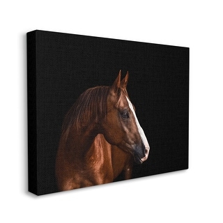 Stupell Modern Horse Portrait Solemn Farm Animal Photography Canvas ...