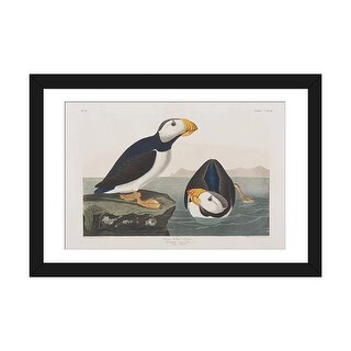 iCanvas "Large-Billed Puffin" by John James Audubon - Bed Bath & Beyond ...
