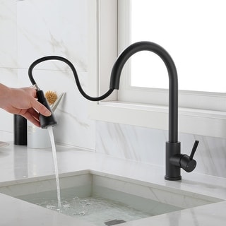 Guining Kitchen Faucet with Pull Out Spraye - 16.53'' x 10.23'' - Bed ...