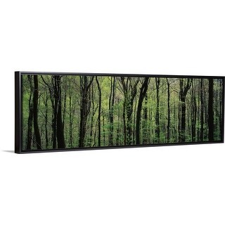 "Trees Great Smoky Mountains National Park " Black Float Frame Canvas ...