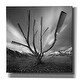 Epic Graffiti 'Dandruff Tree' by Dariusz Klimczak, Canvas Wall Art ...