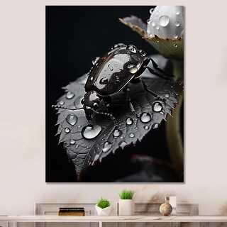 Designart "Insects Bugs Portrait II" Insects & Bugs Wall Art Prints ...