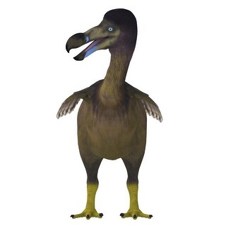 Dodo Bird Front View. The Dodo Is An Extinct Flightless Bird That Lived ...