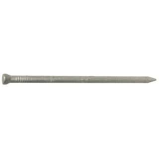 Hillman Fasteners 461302 Galvanized Casing Nails, 2.5" x 8D, 1 Lb - Bed ...