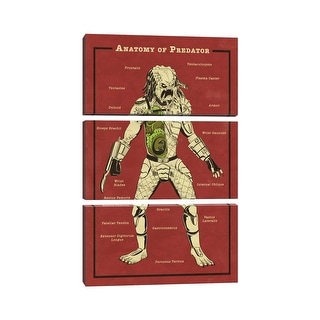 iCanvas "Predator Anatomy Diagram" by 5by5collective 3-Piece Canvas ...