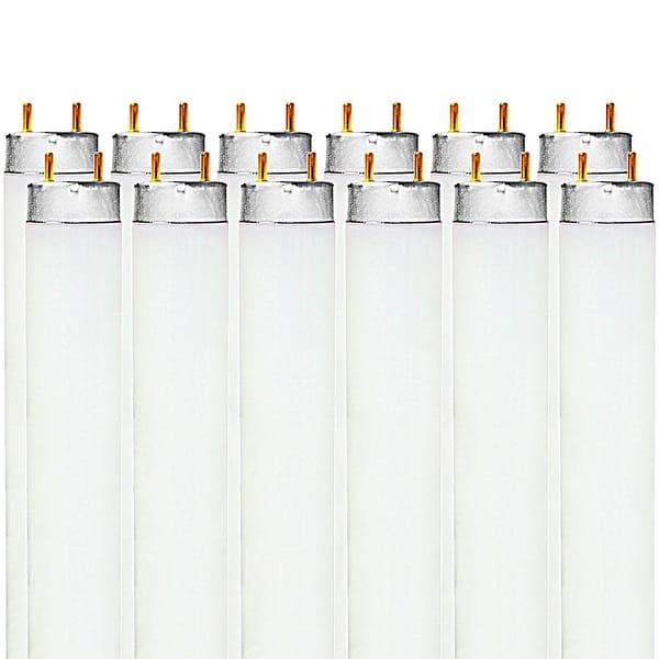 Luxrite 24 Inch T8 Fluorescent Tube Light Bulb 6500K Daylight White 17W ...