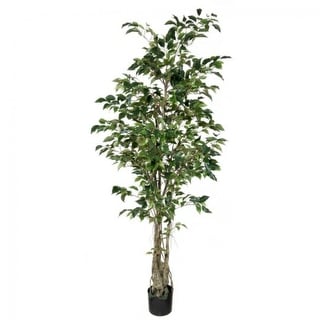 Potted Ficus Tree Faux Plants And Trees - Bed Bath & Beyond - 41094227