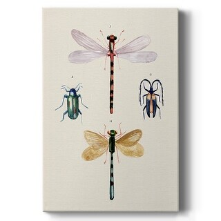 Insect Varieties I Premium Gallery Wrapped Canvas - Ready to Hang - Bed ...