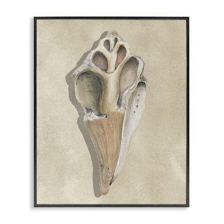 Stupell Broken Conch Shell Framed Giclee Art Design By Michael Willett ...