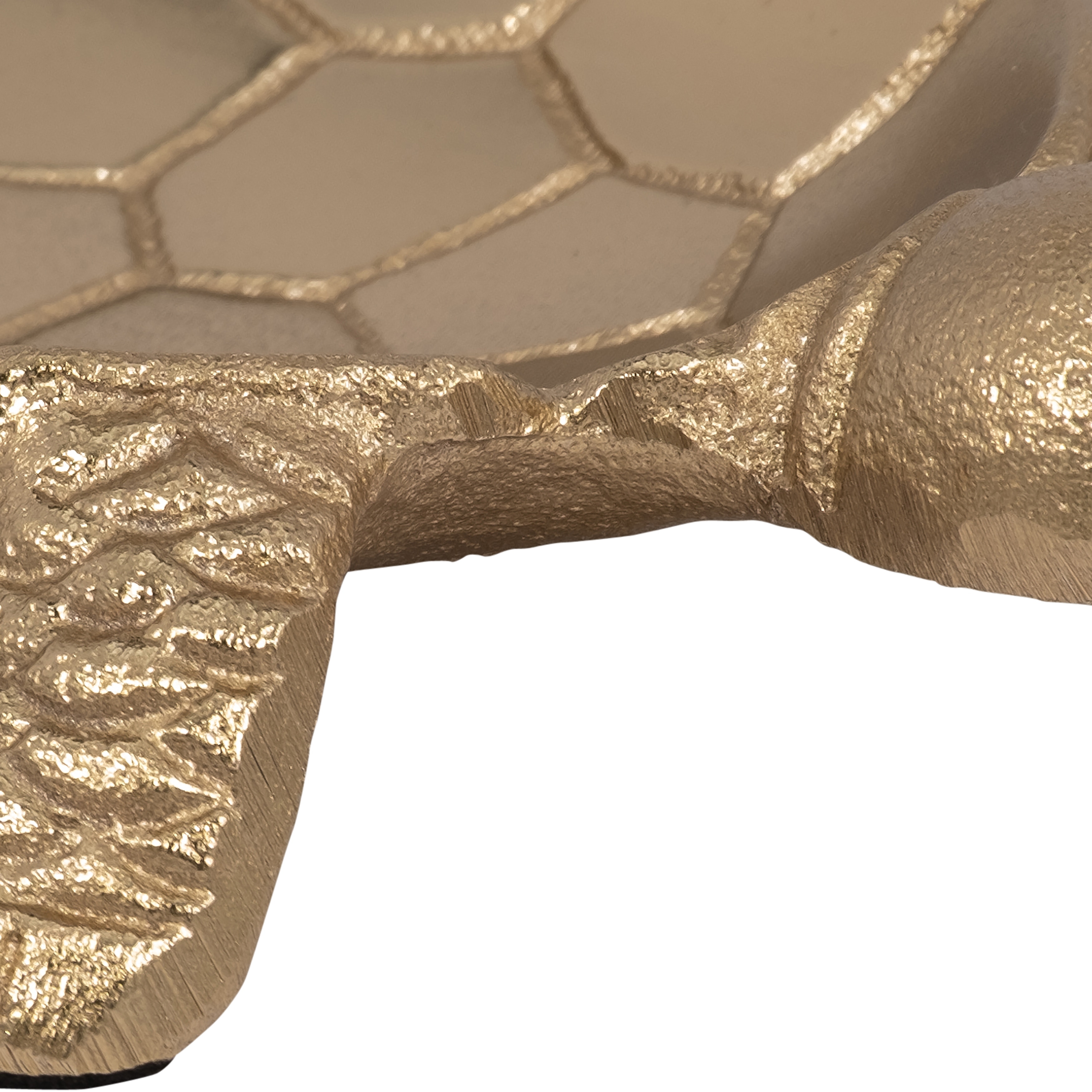 turtle setup trinket