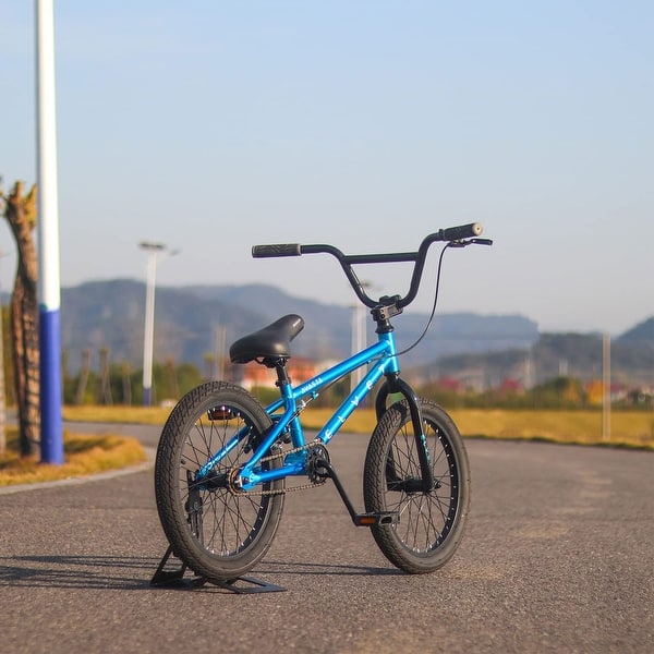 AVASTA 18 Inch Kid Freestyle BMX Bicycle for Beginner Riders, Ages 5 to ...