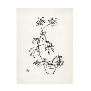 Joseph Roberts 'Floral Ink Study I' Canvas Art - Bed Bath & Beyond ...