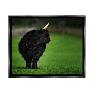 Stupell Fuzzy Yak Looking Away Lush Grass Field Floater Frame, Design ...