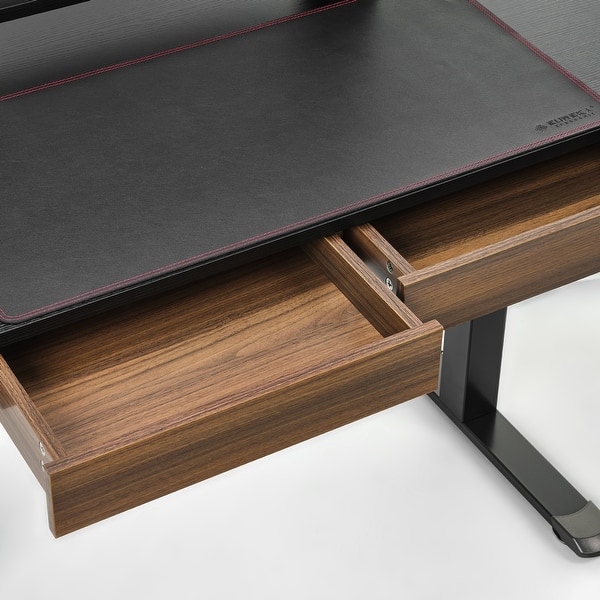 Eureka Ergonomic Home Office Electric Height Adjustable Standing Desk ...