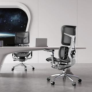 SIHOO Doro S300 Ergonomic Office Chair - Dual-layer Dynamic Lumbar ...