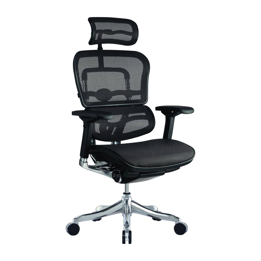 Eurotech Seating Ergo Elite Executive Chair - Overstock - 33897203