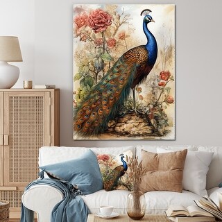 Designart "Vintage Illustration Of Glorious Peacock" Animals Peacock ...