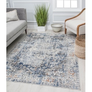 Preston Soft Touch Hi Low Vintage Transitional Area Rug by Rugs America ...