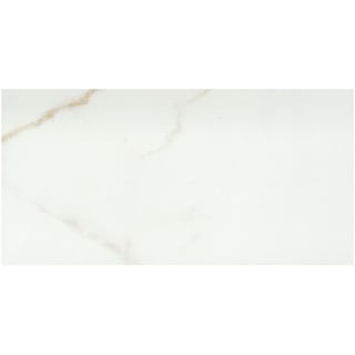 Emser Tile F20VISC1224M Visconde - 12" x 24" Floor and Wall Tile ...