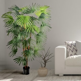 Potted Fan Palm 5' - Green - Bed Bath & Beyond - 33039328
