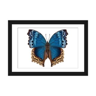 iCanvas "Butterfly Salamis Temora" by Paul Rommer - Bed Bath & Beyond ...