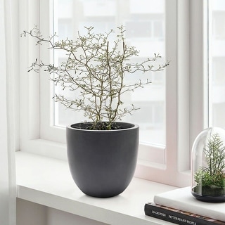 DreamPatio Riverside Fiberstone Modern Sphere Planter for Indoor ...
