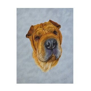 Steve Crockett 'Pet Portrait Of Reggie The Shar Pei' Canvas Art - Bed ...