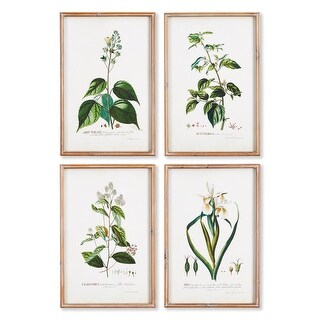Flora Study, Set Of 4 - Bed Bath & Beyond - 33735560