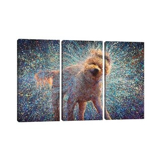 iCanvas "Canis Rufus" by Iris Scott 3-Piece Canvas Wall Art Set - Bed ...