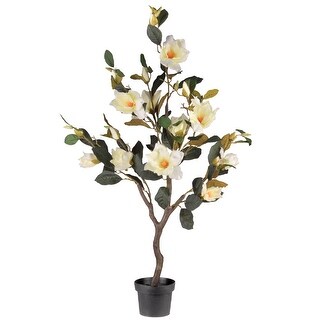 48" Potted Magnolia Tree - Bed Bath & Beyond - 25615728