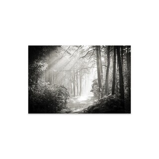 Into The Forest II Print On Acrylic Glass by Dorit Fuhg - Bed Bath ...