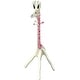 Discontinued Giraffe Clothes Tree - Bed Bath & Beyond - 34583611