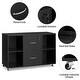 File Cabinet Large Mobile Storage Lateral Filing Cabinet with 2 Drawer ...