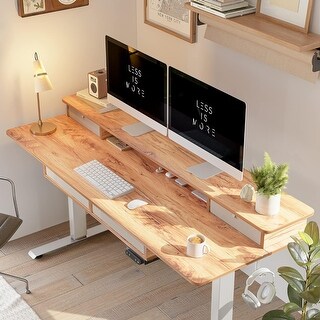 FEZIBO Sturdy Height Adjustable Electric Standing Desk with Drawers ...