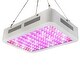 1200W Dual Chips Full Light Spectrum LED Plant Growth Lamp - White ...