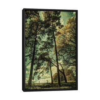 iCanvas "Early Summer II" by Sarah Jarrett Framed - Bed Bath & Beyond ...