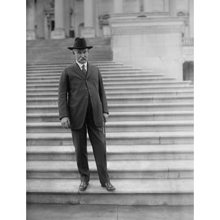 Albert B Fall History - Bed Bath & Beyond - 24395052