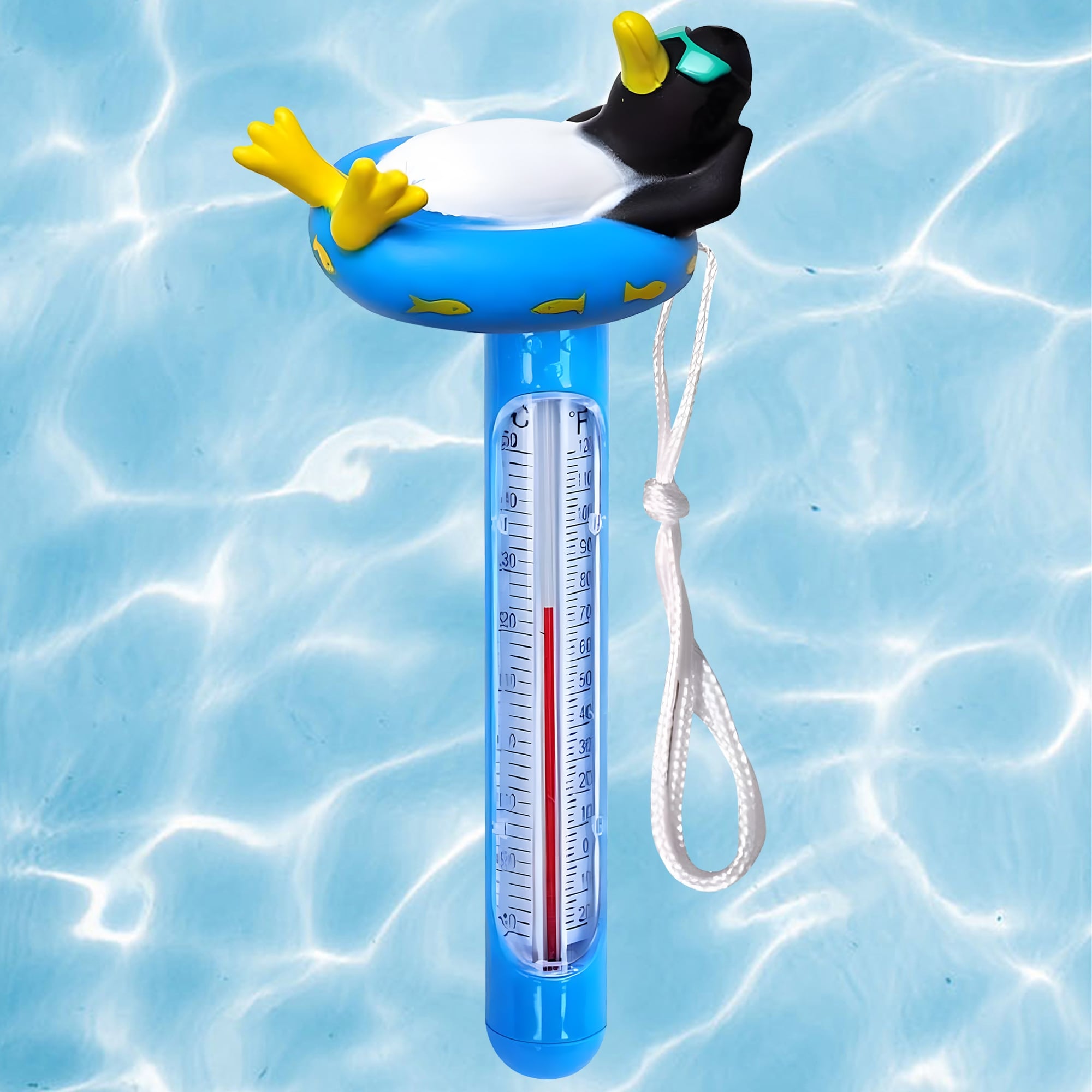 unique pool thermometer