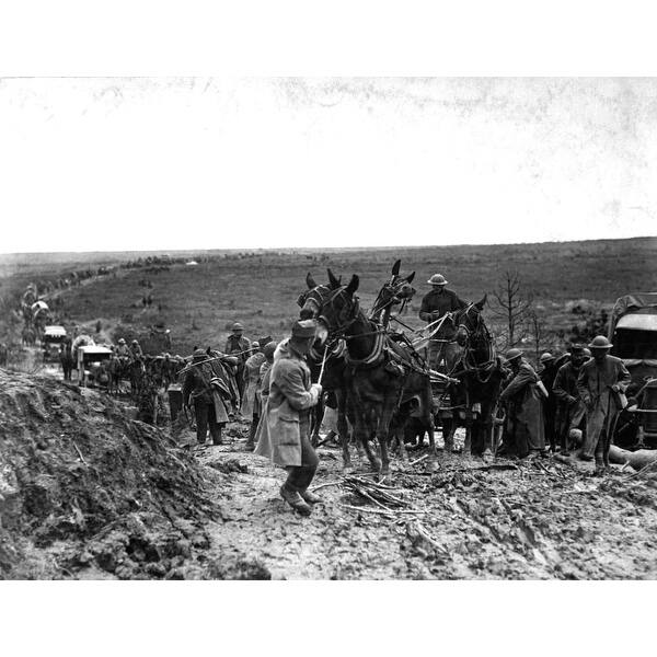 Mules Baulking In An American Ammunition Wagon Stuck In The Road ...