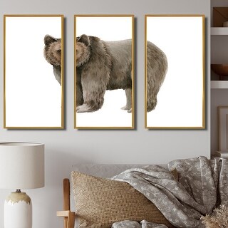 Designart "Brown Bear On White" Traditional Framed Wall Art Set of 3 ...