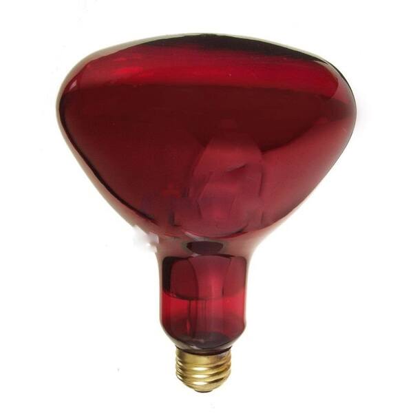 250W Bulb Socket Light Bulb Red Glass American Imaginations - Bed Bath ...