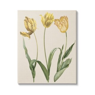 Stupell Three Tulip Sprigs Canvas Wall Art Design by Lil' Rue - Bed ...