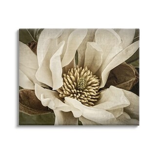 Stupell Rustic Flower Close Up Canvas Wall Art Design by Rachel Perry ...