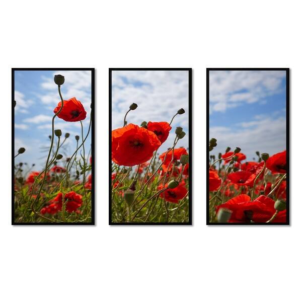poppy frame
