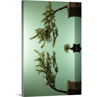 "Small bonsai tree between two large bonsai trees" Canvas Wall Art ...