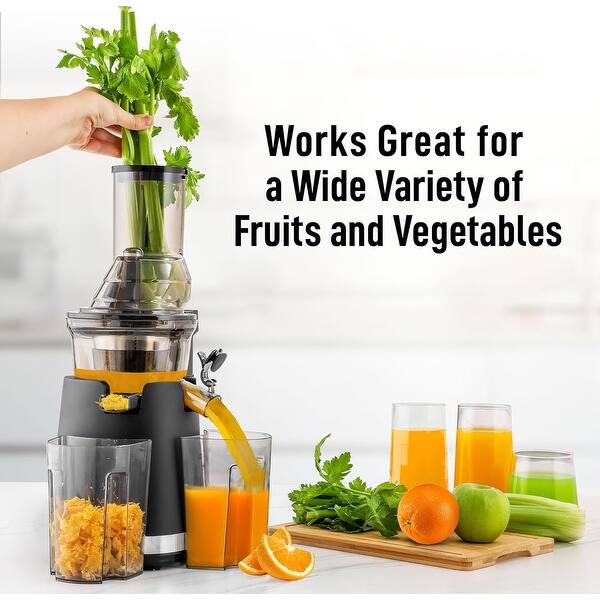 Masticating Juicer Machine with High Yield, Quiet Motor, and Reverse ...