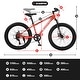 The 24 Inch Fat Tire Bike - Full Shimano 7-Speeds Dual Disc Brakes and ...
