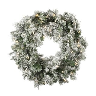 Vickerman 24" Flocked Kiana Artificial Christmas Wreath, Warm White ...